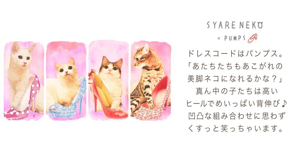 sp_header_Ssyare-neko_7_PUMPS(PH） | とことこサーカス