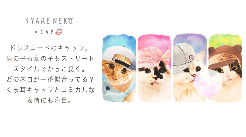 sp_header_Ssyare-neko_2_CAP(PH） | とことこサーカス