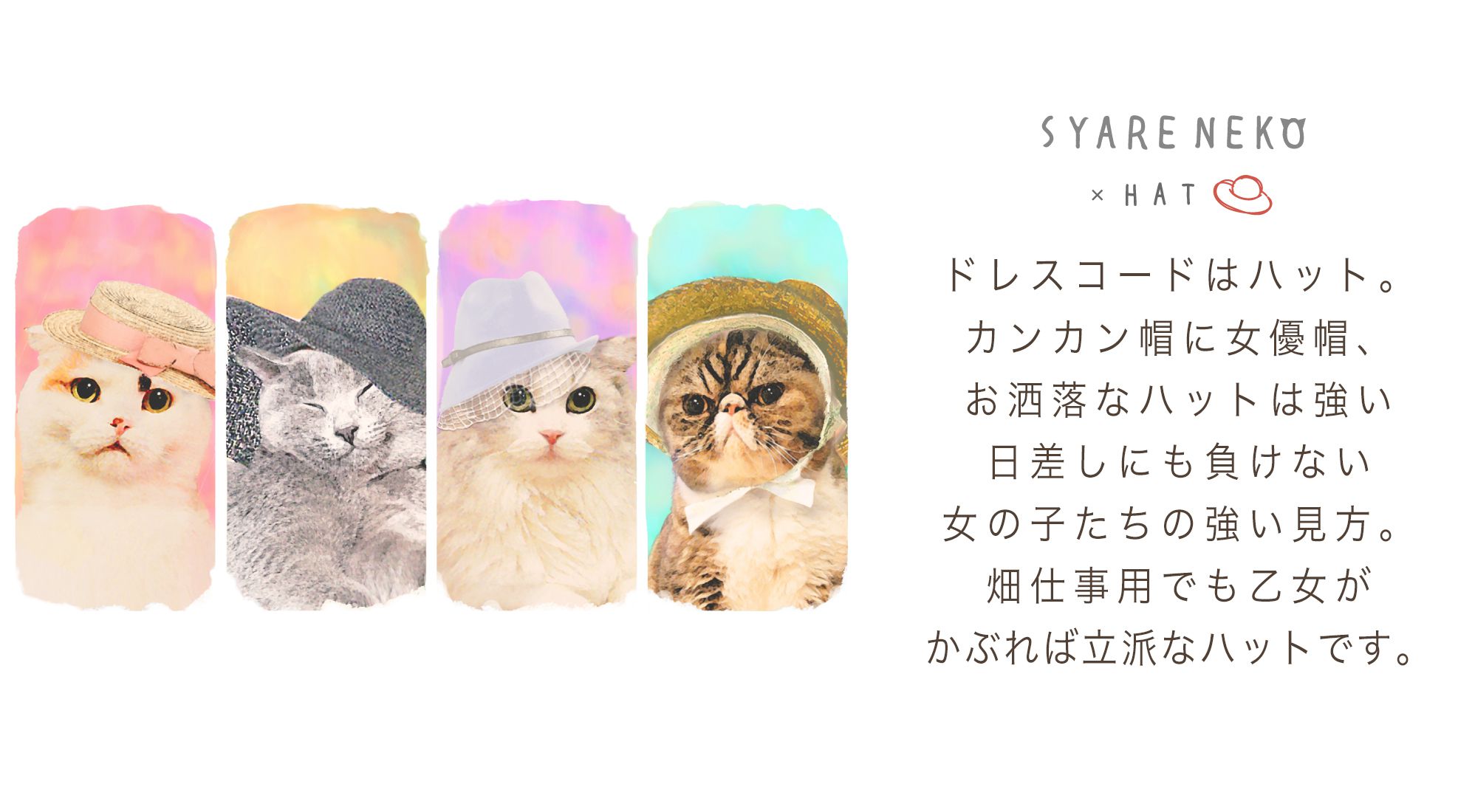 sp_header_Ssyare-neko_3_HAT(PH） | とことこサーカス